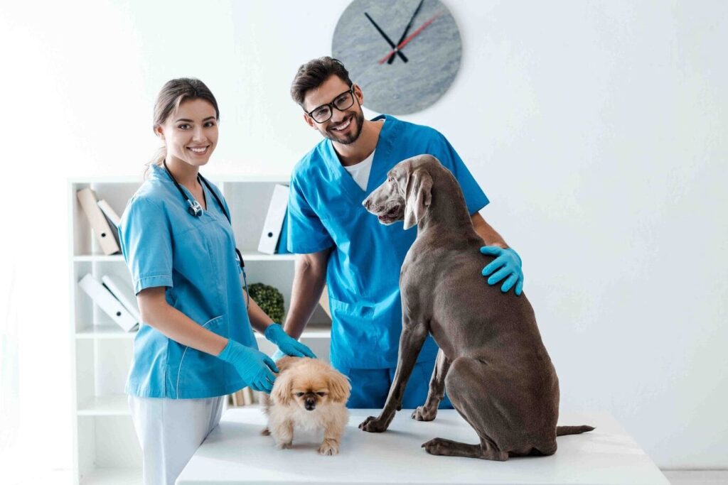 Taller de QVET 2026: Software Gestión Veterinaria - ESSAE