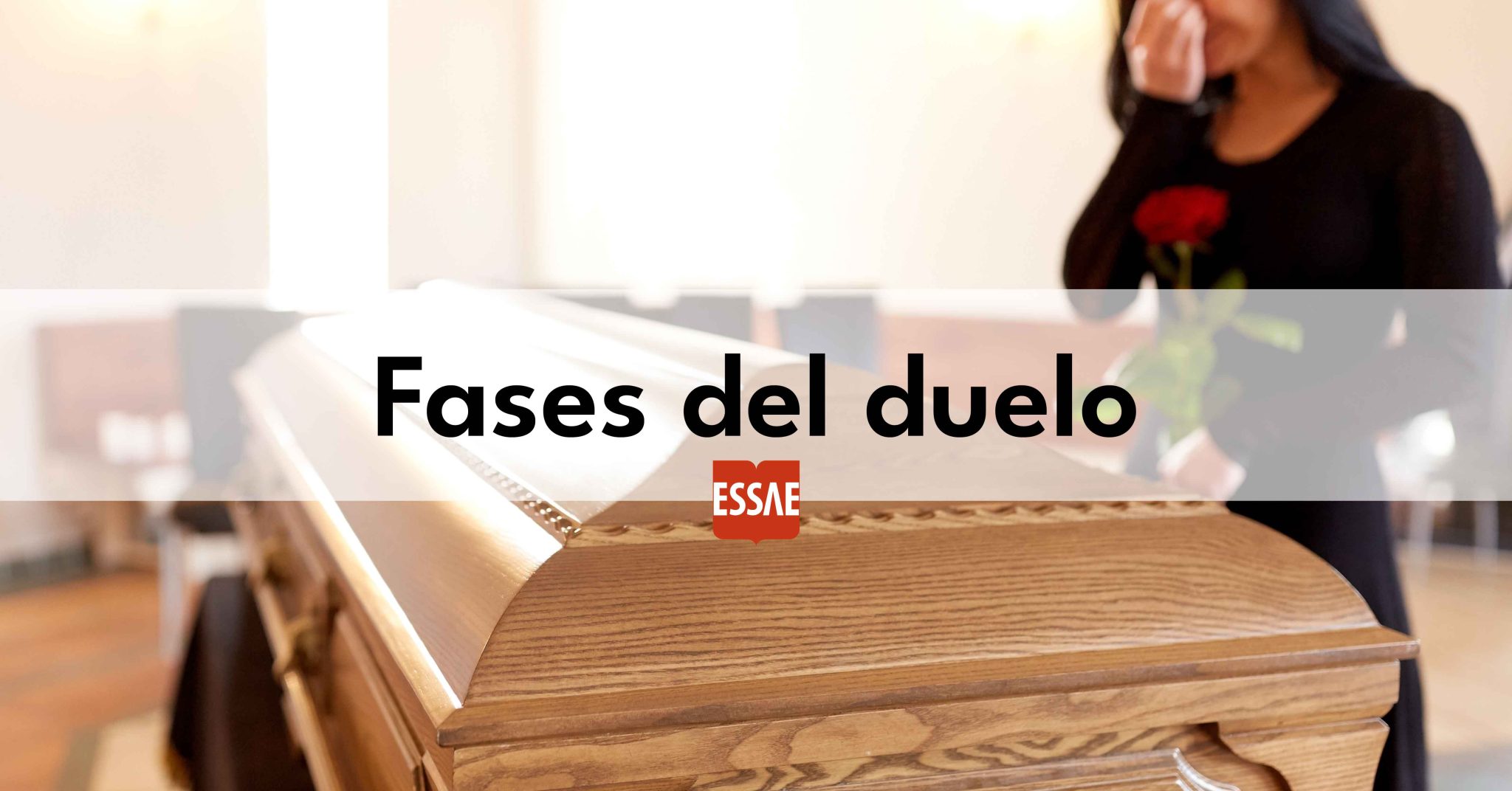 Proceso de Embalsamamiento 2025 ¿Cómo se hace? - ESSAE